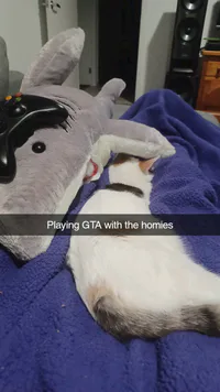 Game Jolt - Share your creations