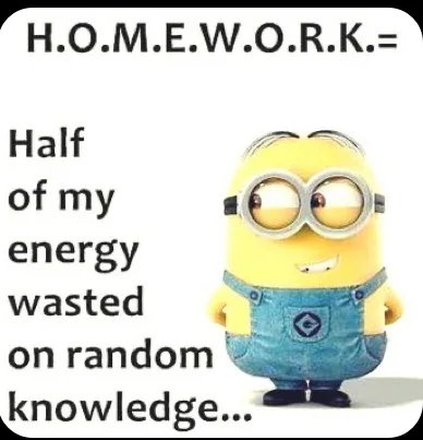 Maths Minion Quotes