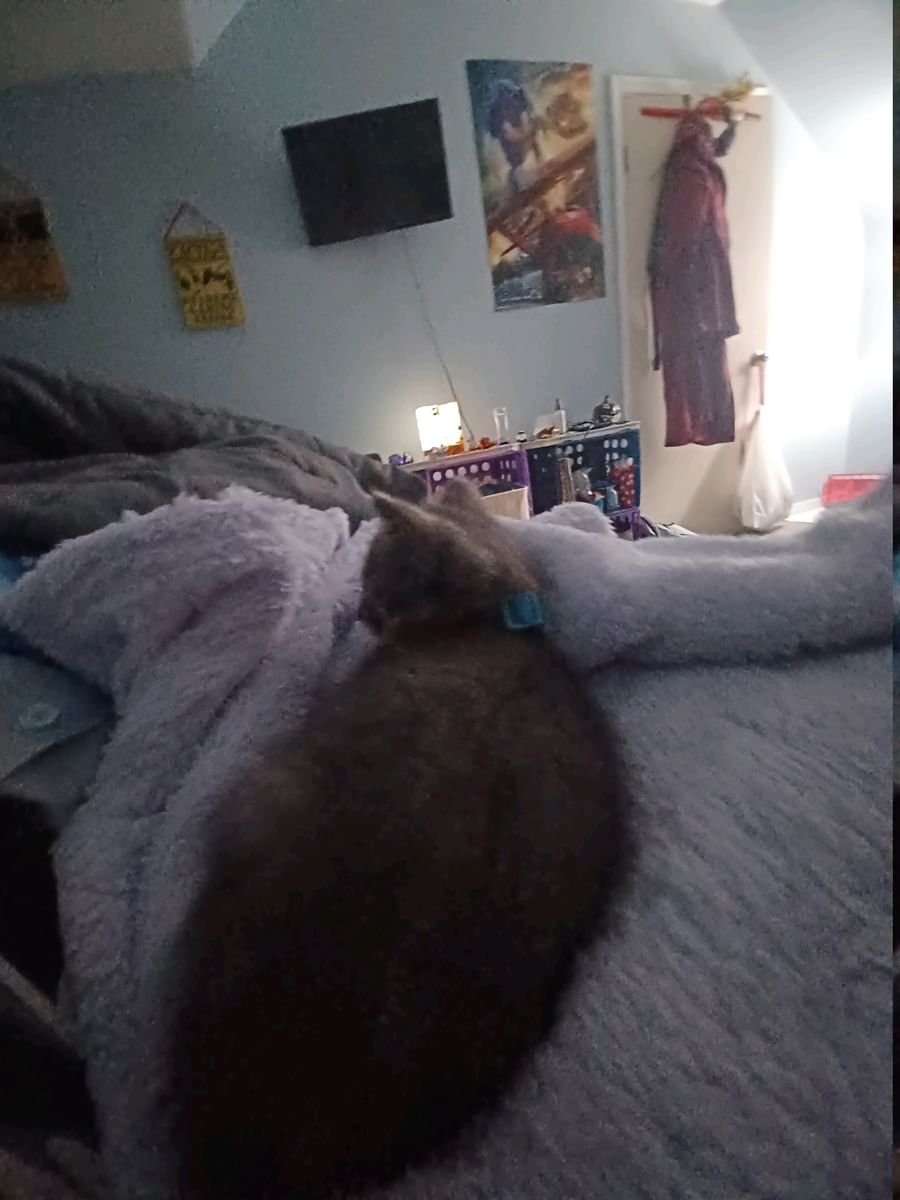 Game Jolt - Share your creations