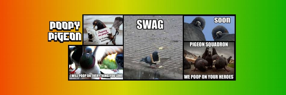 Poopy Pigeon by Kyle Pearson - Play Online - Game Jolt