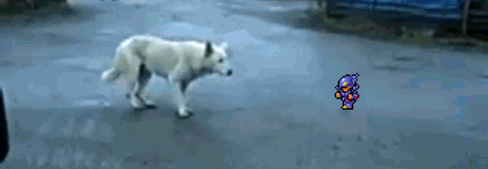 Final Fantasy vs. Dog by LordBlueRouge (@LordBlueRouge) on Game Jolt