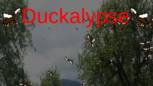 Duckalypse by XrCore.dll - Play Online - Game Jolt