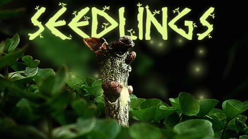 Seedlings by Bardsley Creative - Play Online - Game Jolt