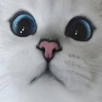 Really Happy Mouse by EnclaveG - Game Jolt