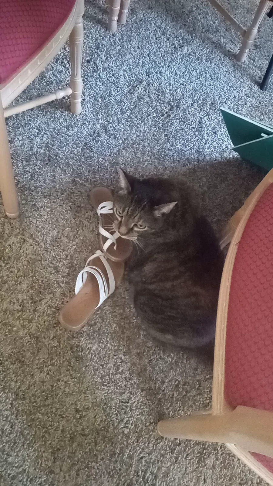 Game Jolt - Share your creations